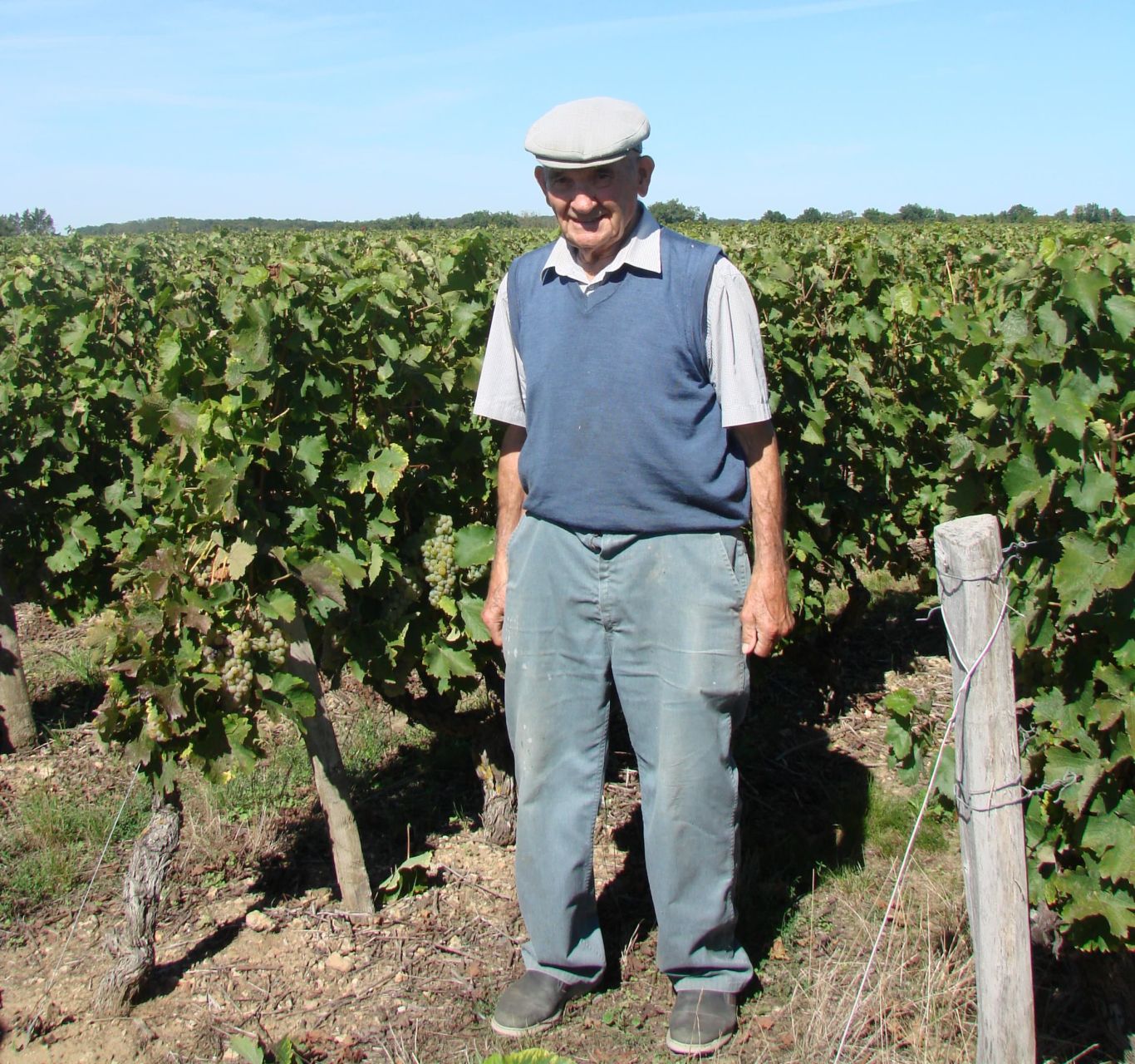 Domaine Gaudron - Tradition Viticole à Vouvray